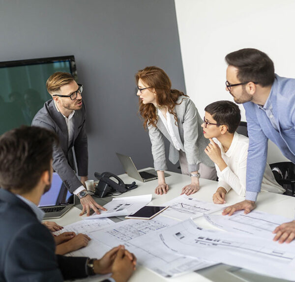 Project Management - Buildliner